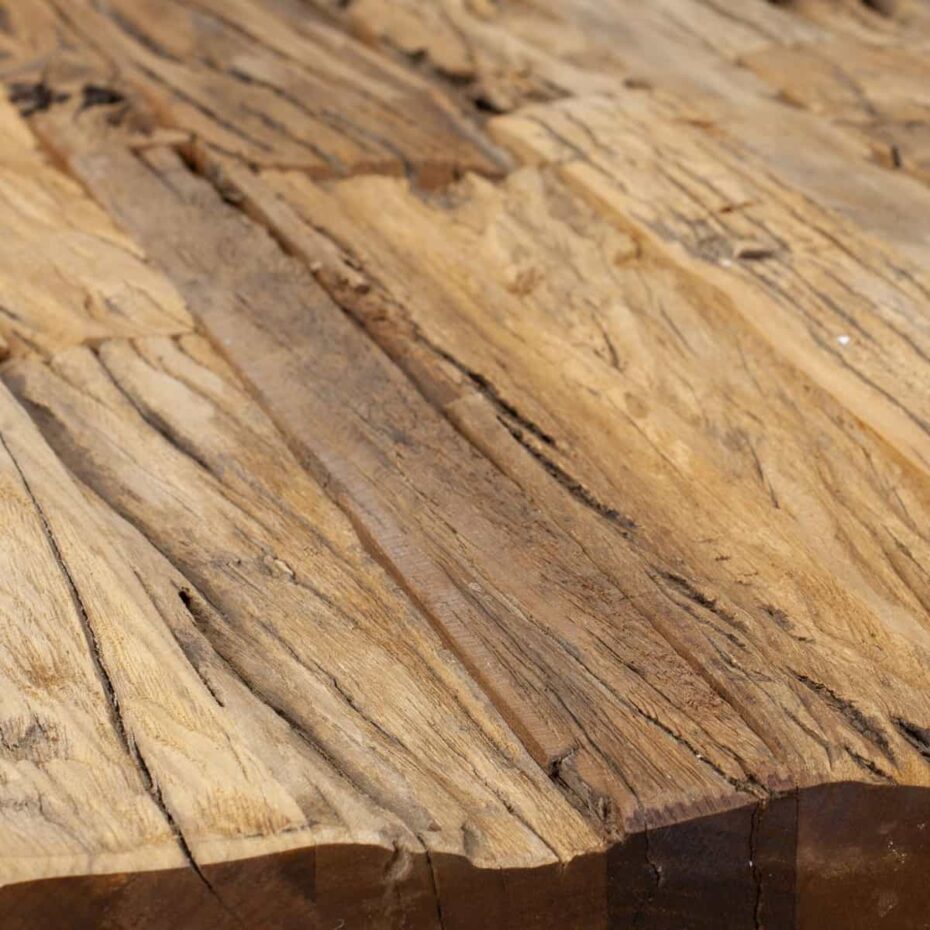 Eco-friendly interior design guide for stylish homes