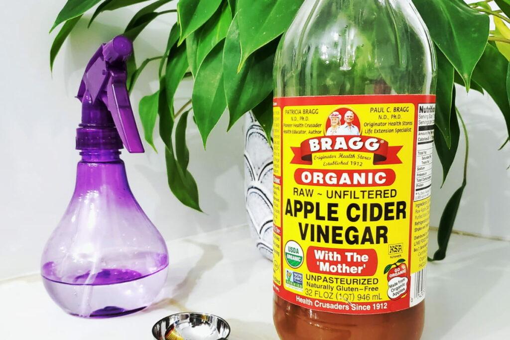 Get rid of outdoor insects safely around patios now