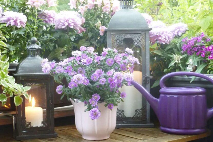 Garden design tips for lush, well-planned outdoor retreats